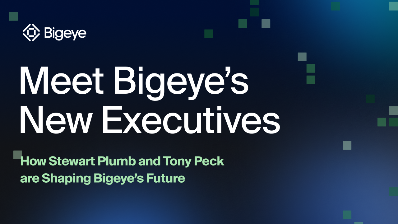 Meet Bigeye’s New VPs: How Stewart Plumb and Tony Peck are Shaping Bigeye’s Future